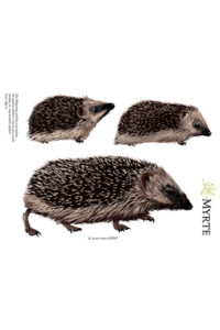 Egel Muurstickers | MYRTE