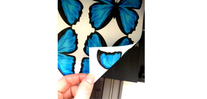 Blue Morpho Butterfly - Free downloadable drawing & tutorial | MYRTE
